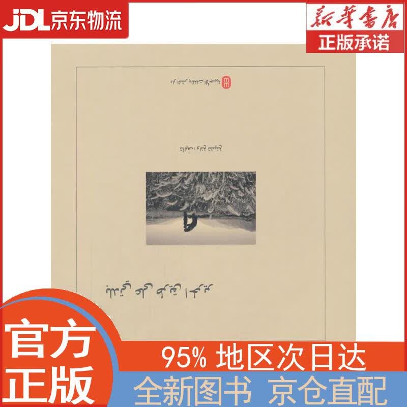 丝路上的故乡（阿） 王晴 外文出版社 王晴 著 外文出版社