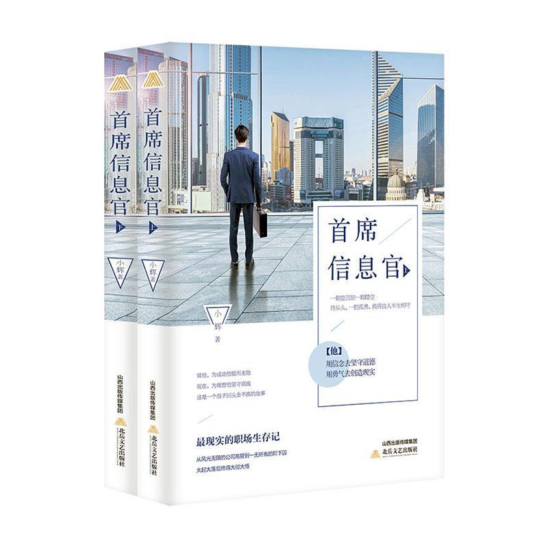 首席信息官（上下册）小说 图书