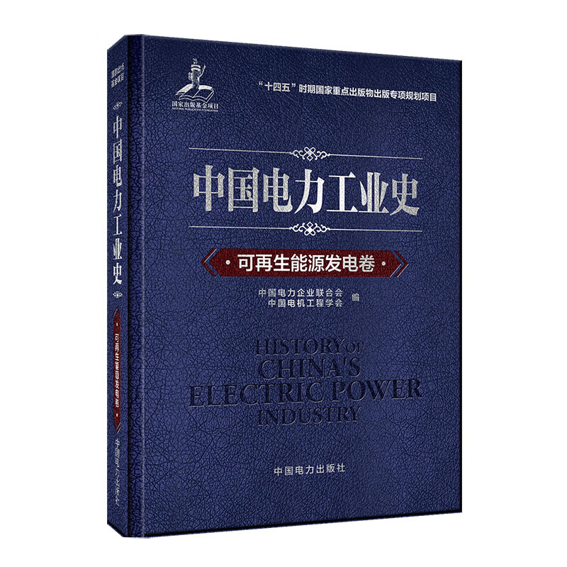 中国电力工业史 可再生能源发电卷