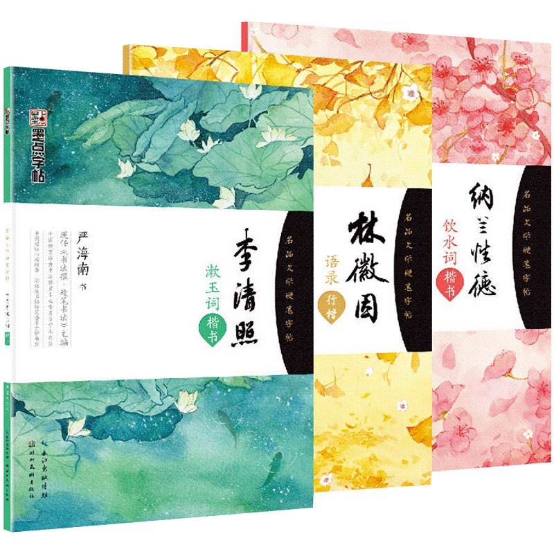 字帖 楷书女生字体漂亮纳兰性德饮水词练字帖 成年大学生字帖文艺清秀高中生练字帖硬笔对临字帖描红临摹 李清照漱玉词+纳兰性德饮水词+林徽因语录 3本套