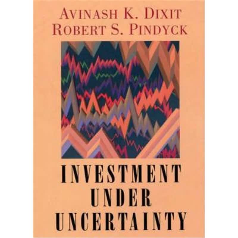 Investment under Uncertainty