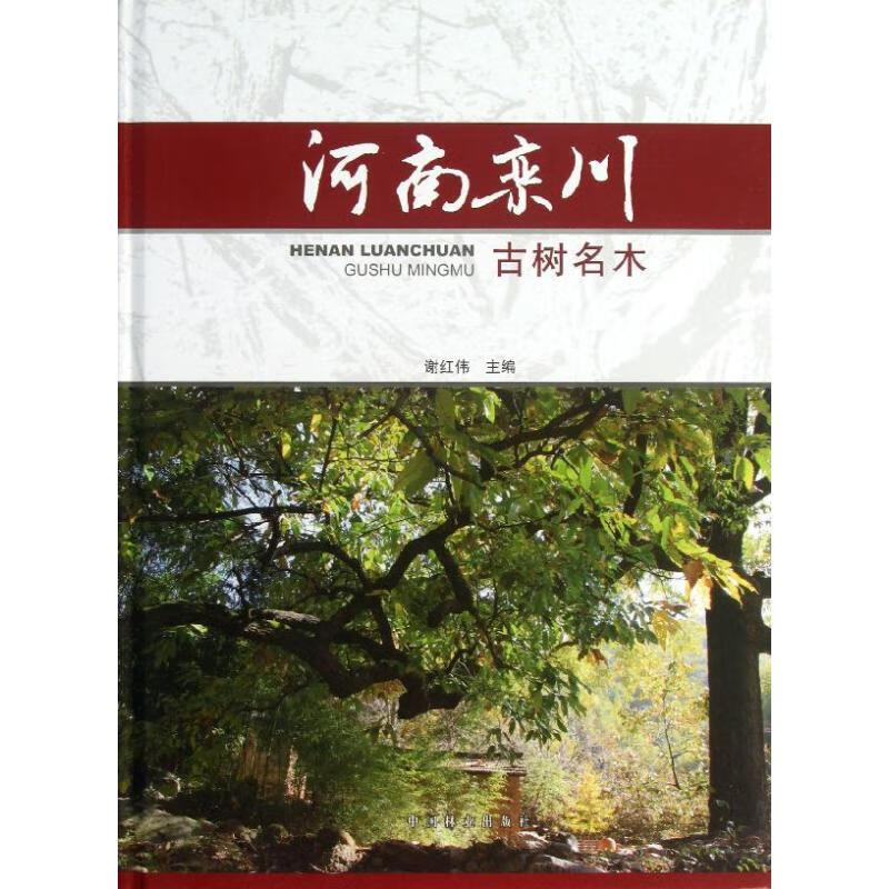 河南栾川古树名木