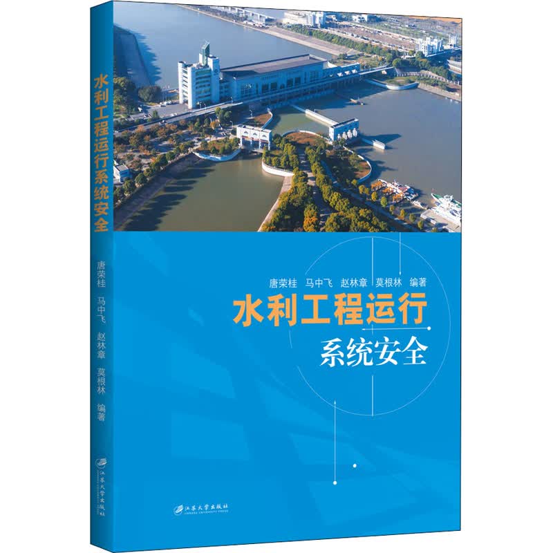 水利工程运行系统安全 唐荣桂 等 编 书籍
