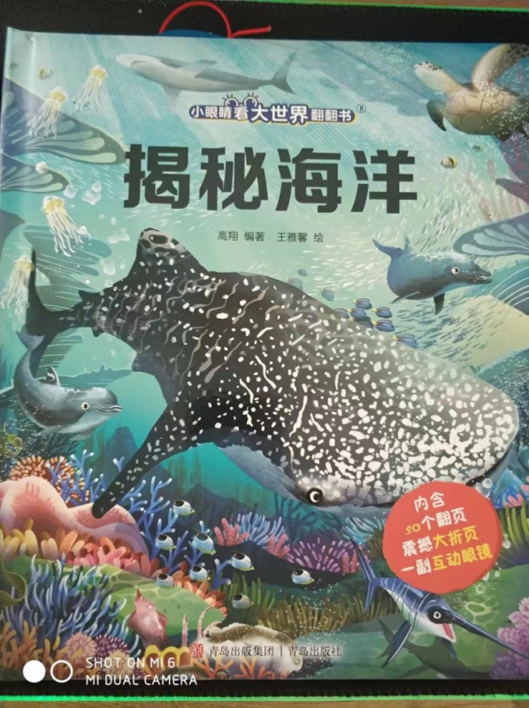 揭秘海洋（小眼睛看大世界翻翻书）