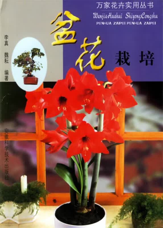 盆花栽培 李真,魏耘