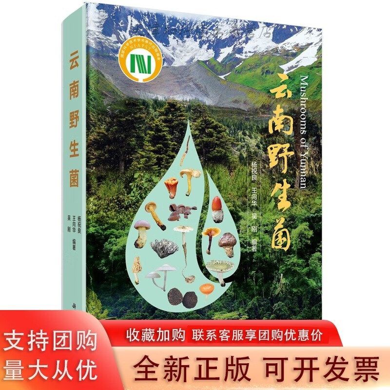 云南野生菌/杨祝良 向华 吴刚