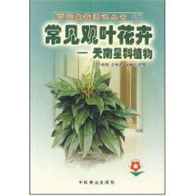常见观叶花卉——天南星科植物