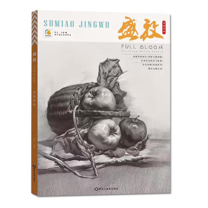 盛放素描静物 钟文