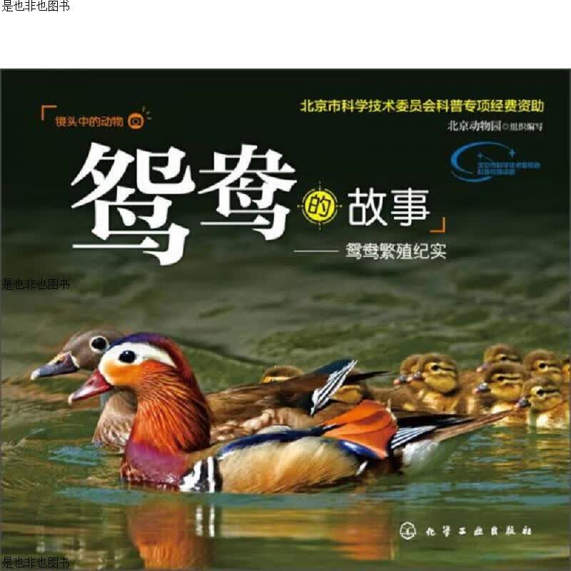 鸳鸯的故事
