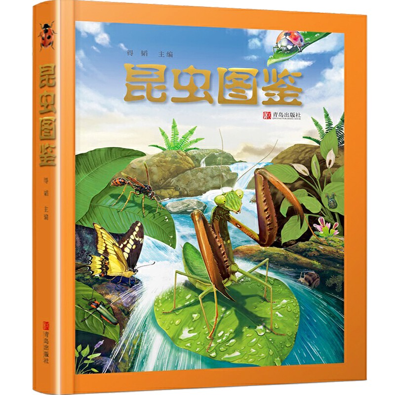 昆虫图鉴 昆虫识别图鉴昆虫书籍 昆虫百科全书图鉴 自然百科知识读物全书科普书 昆虫植物蝴蝶科普百科