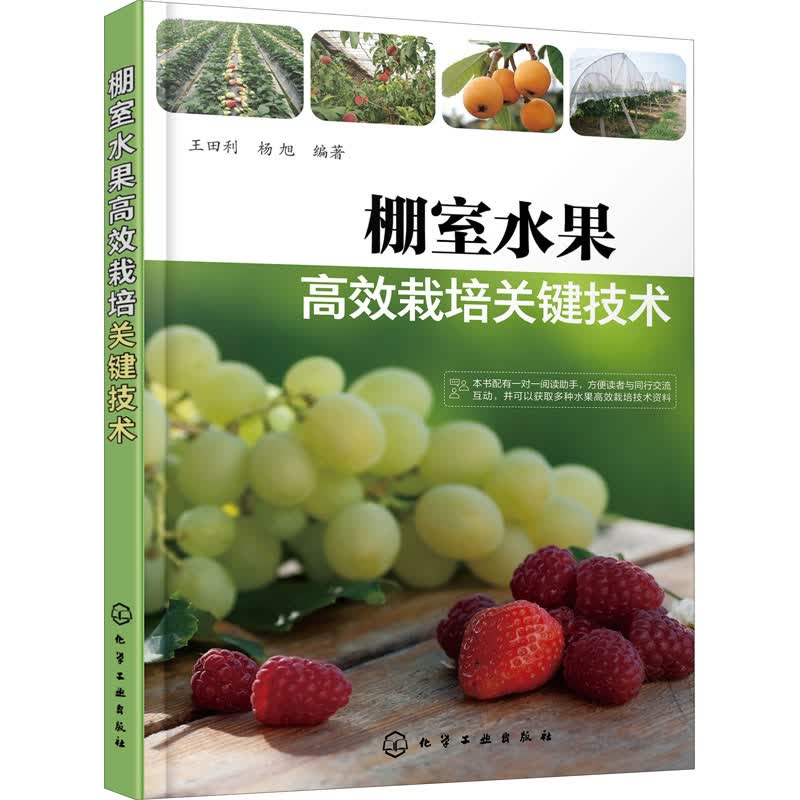 棚室水果高效栽培关键技术 王田利,杨旭 编 书籍