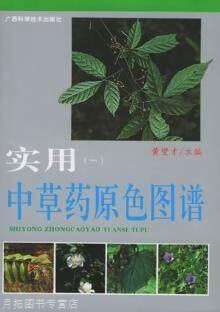 实用中草药原色图谱 一,黄燮才,广西科学技术出版社,9787805657493