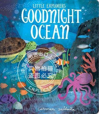 预售 晚安海洋 英文原版 Goodnight Ocean 儿童绘本互动书 小老虎出版社