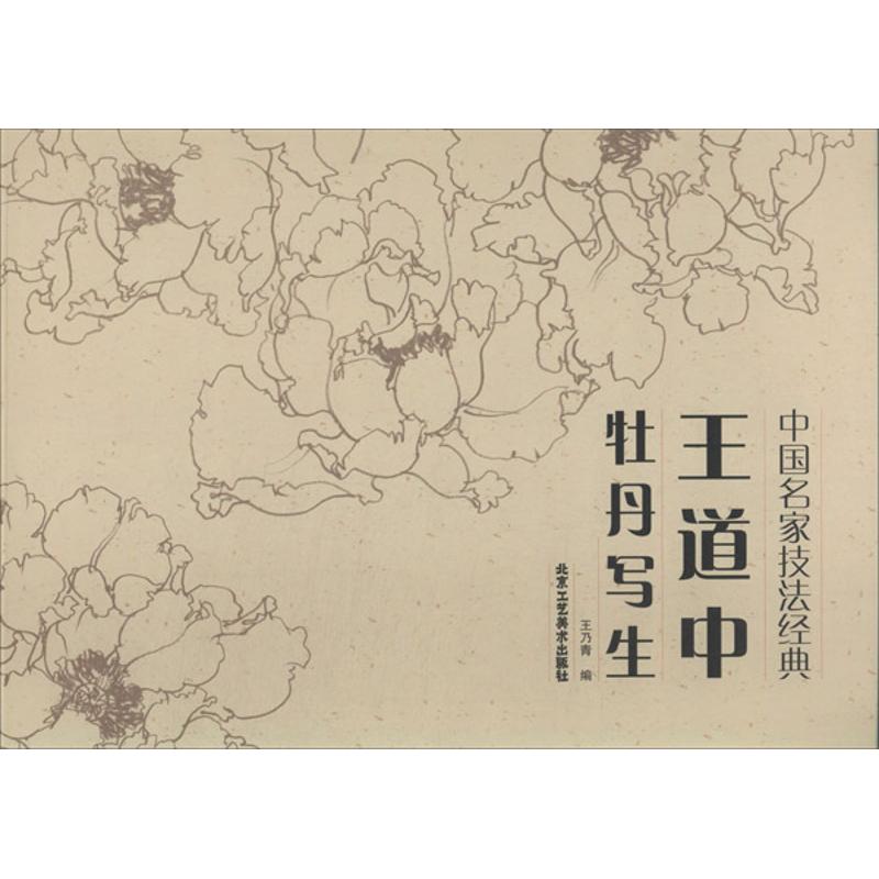 王道中牡丹写生牡丹