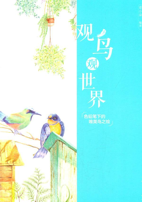 包邮：观鸟观-色铅笔下的唯美鸟之绘绘画  图书