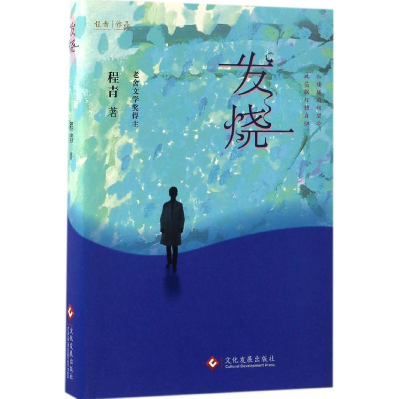 发烧 程青  书籍