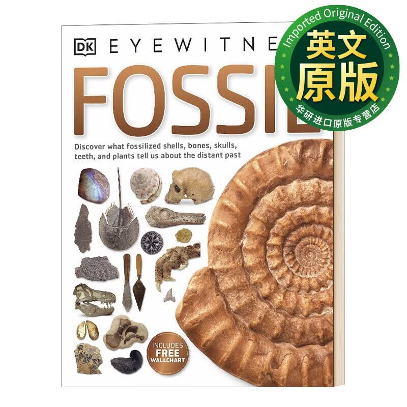 华研原版 Fossil DK Eyewitness 目击者系列 化石 英文原版 英文版