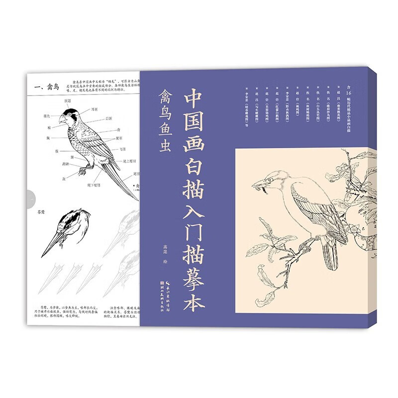 中国画白描入门描摹本-禽鸟鱼虫  绘画技法