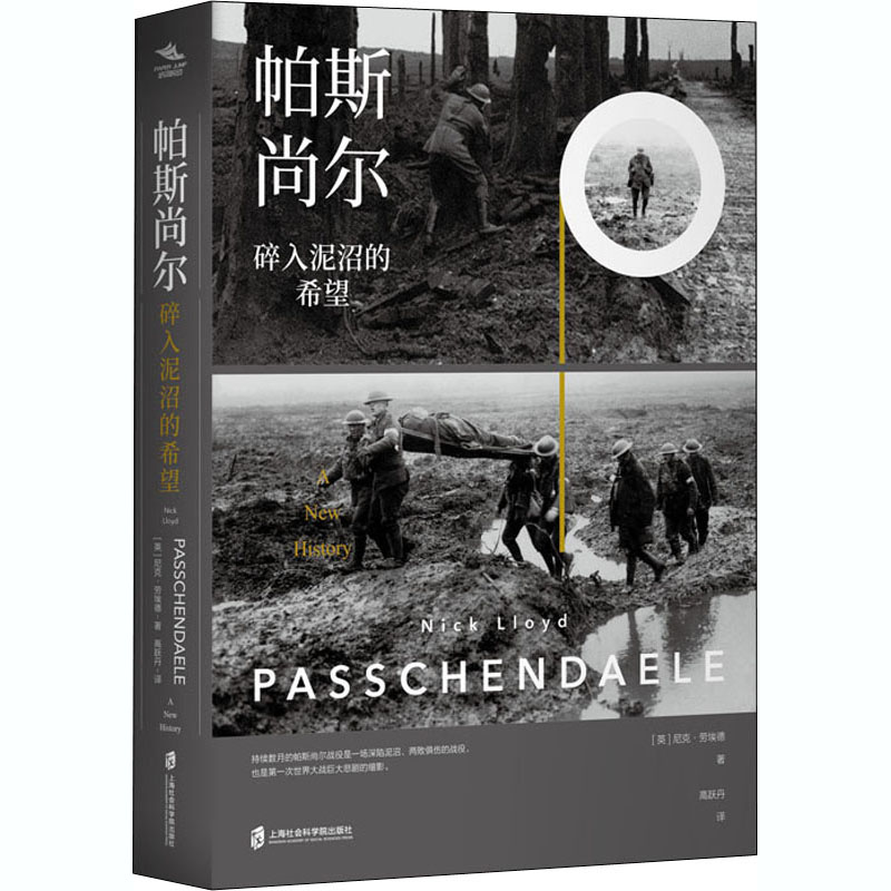 帕斯尚尔 碎入泥沼的希望