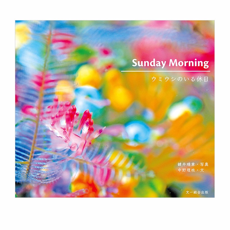 水下摄影集：海蛞蝓的假日 SUNDAY MORNING ウミウシのいる休日 日本摄影作品集善本图书
