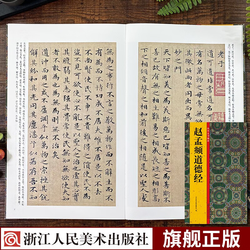 历代法书掇英：赵孟頫道德经 简体旁注释文注释 楷书字帖高清名家墨迹临摹碑帖法帖初学者毛笔书法书籍浙江人民美术出版社图书籍