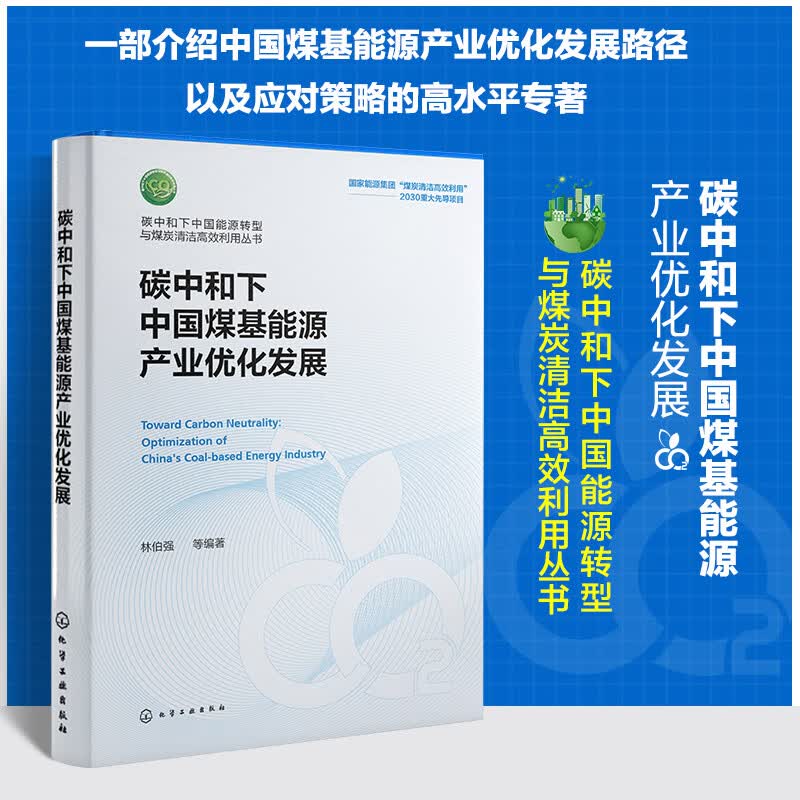 碳中和下中国能源转型与煤炭清洁高效利用丛书--碳中和下中国煤基能源产业优化发展