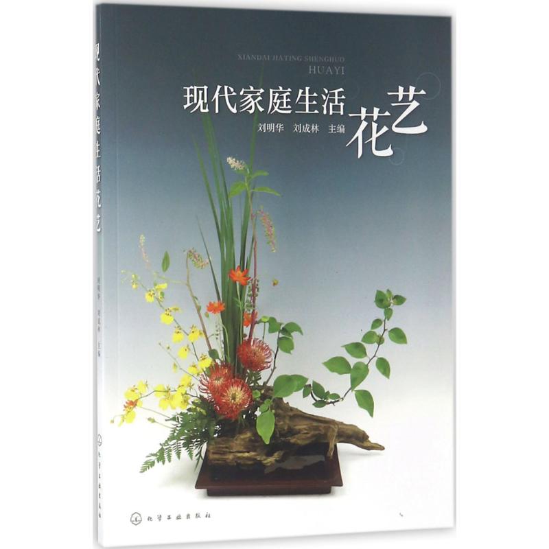 现代家庭生活花艺