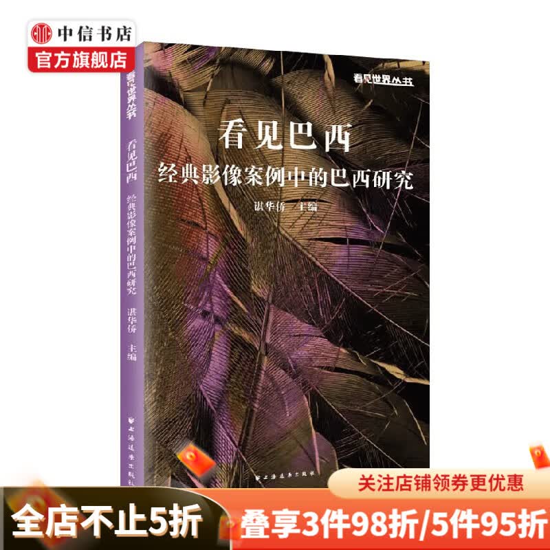 看见巴西 经典影像案例中的巴西研究 谌华侨 著 历史