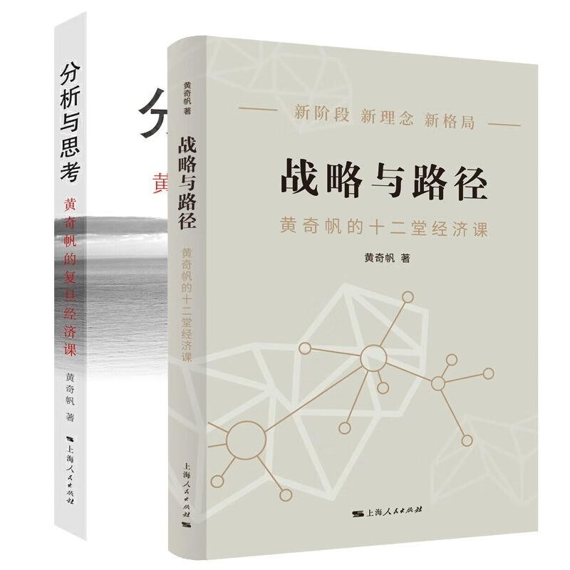 分析与思考+战略与路径 共2册