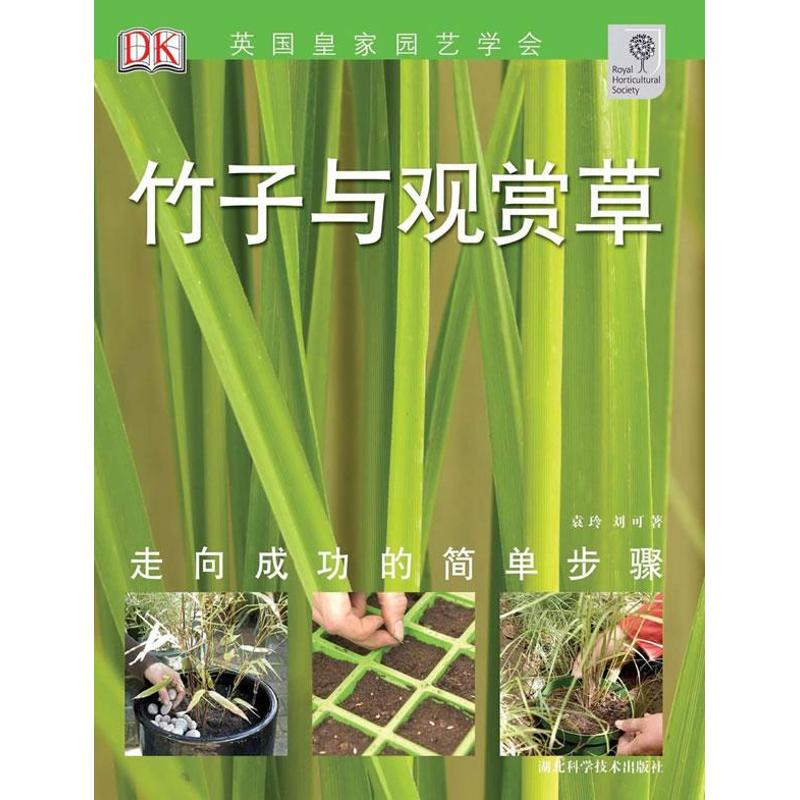 观赏草与竹子