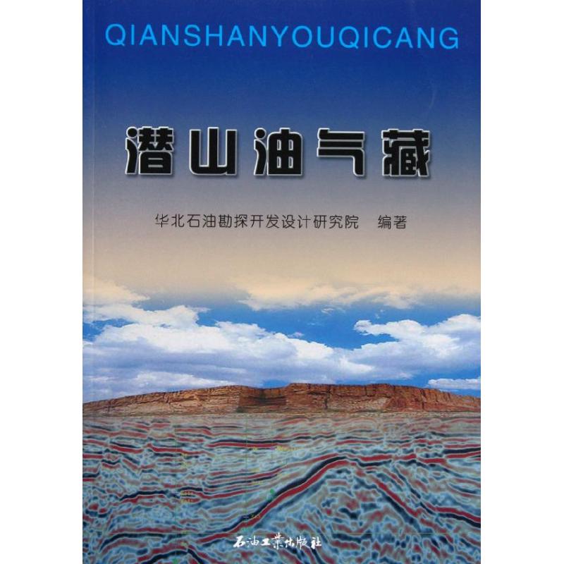 潜山油气藏 图书