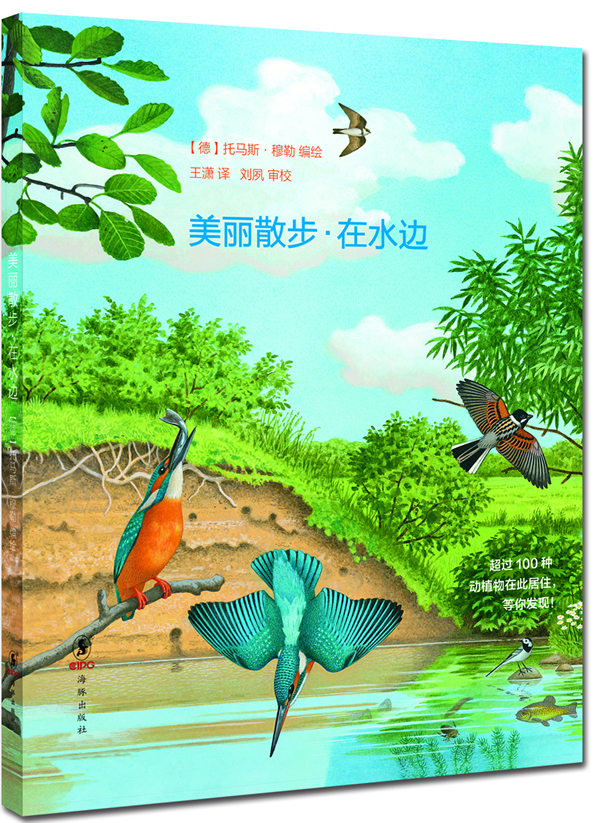 美丽散步在水边【特惠】