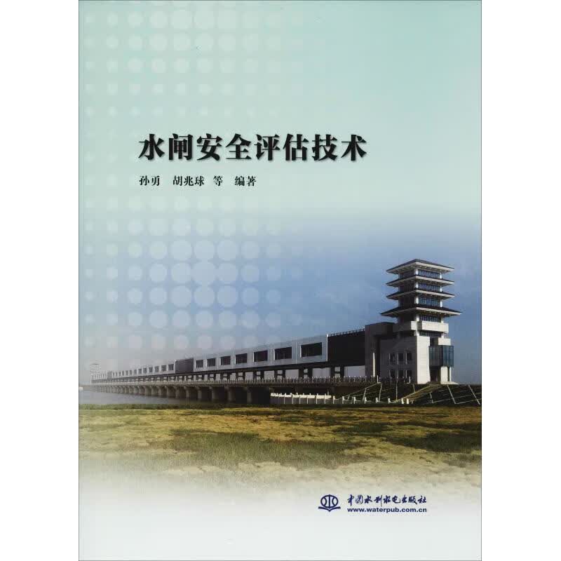水闸安全评估技术
