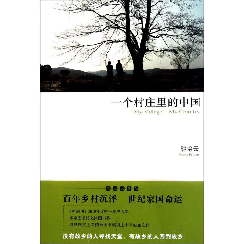 一个村庄里的中国