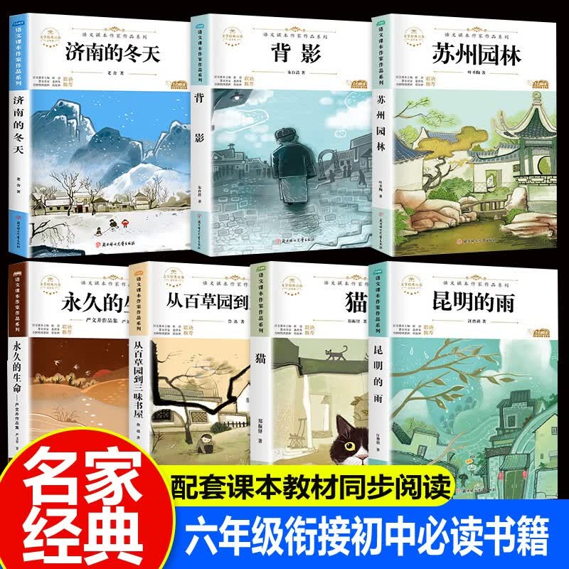 六年级课外阅读必读书籍小升初小学升初一语文阅读经典书目文学名著小说七年级上册推荐阅读书目11-14岁初中生课外阅读书籍 全套7册【六年级衔接初中】