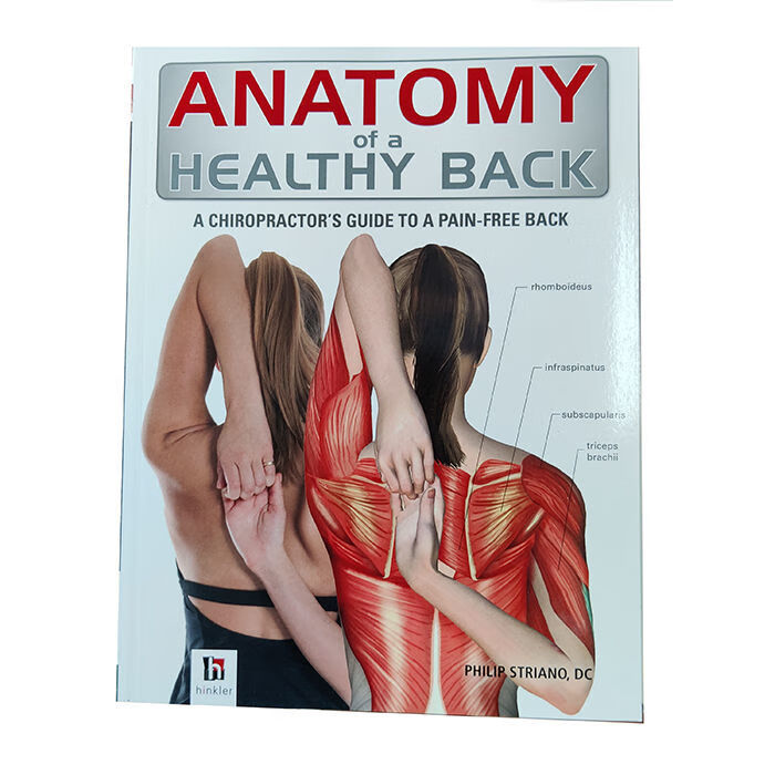 尾单 Anatomy of Core Stability/Exercise 系列书 health back