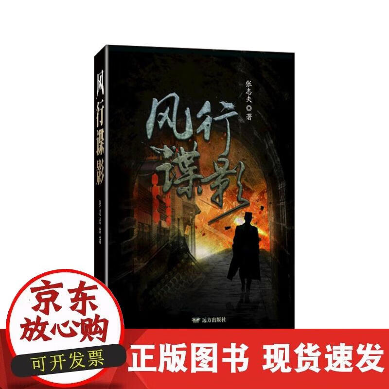 【现货】风行谍影