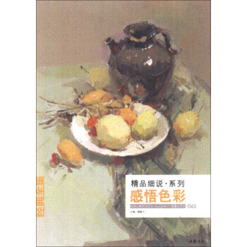 感悟色彩 杨建飞 中国书店