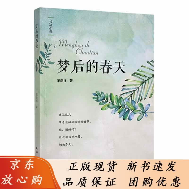梦后的春天启祥 小说书籍