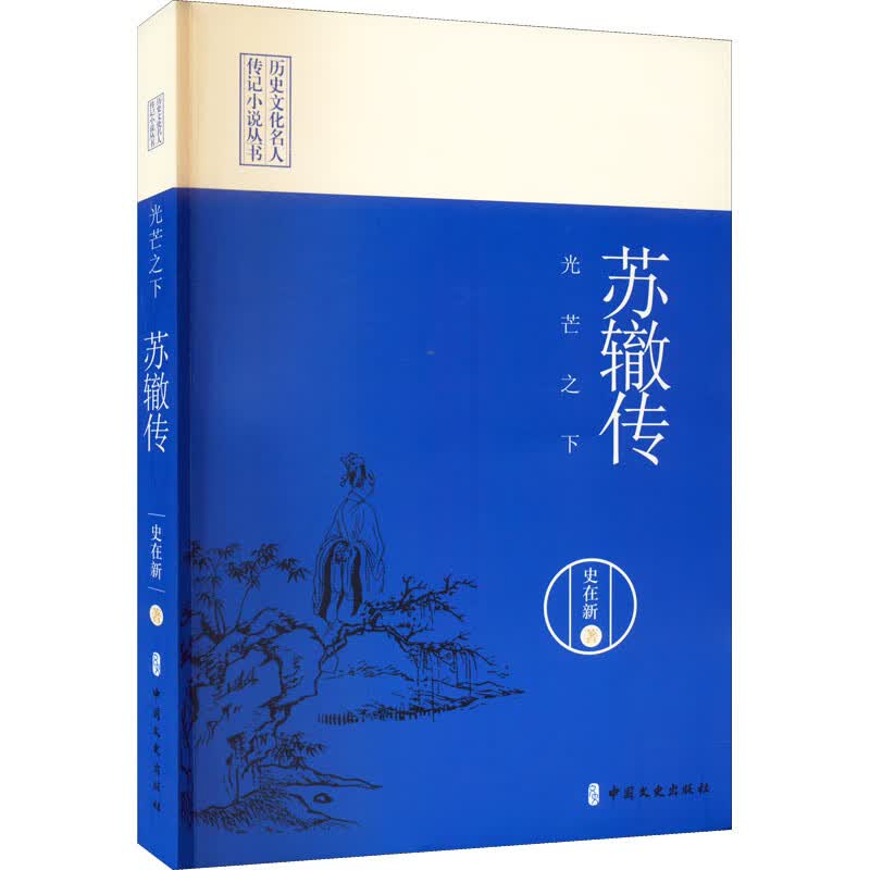 光芒之下 苏辙传 图书