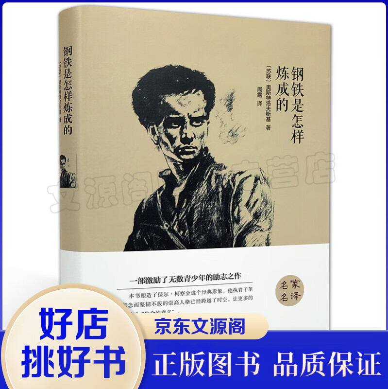 钢铁是怎样炼成的（精装版）