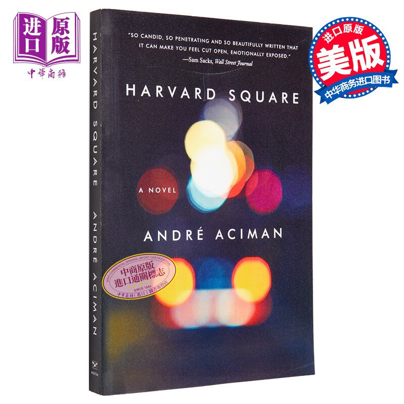 哈佛广场 英文原版 Harvard Square: A Novel 文学小说