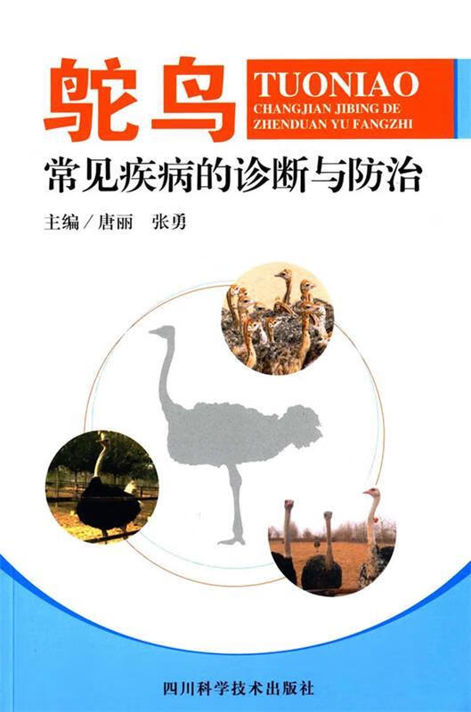 鸵鸟常见疾病的诊断与防治