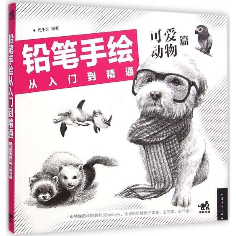 铅笔手绘从入门到精通可爱动物篇
