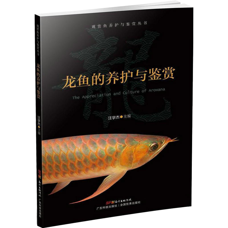 龙鱼的养护与鉴赏