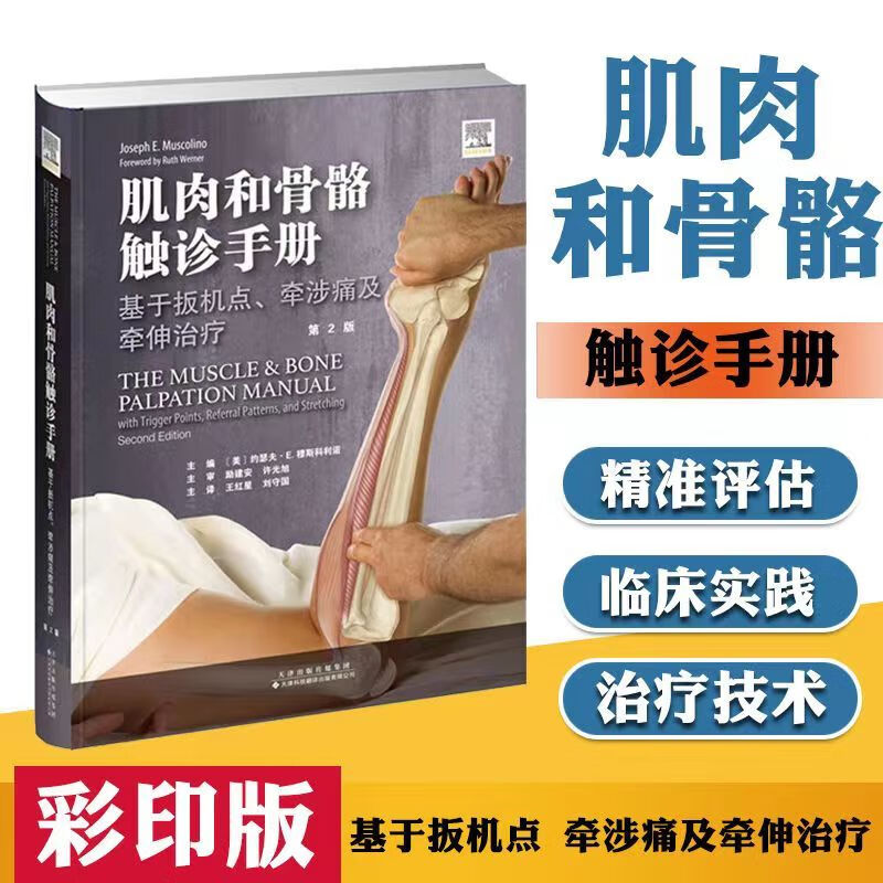 肌肉和骨骼触诊手册:基于扳机点、牵涉痛及牵伸治疗(第2版)