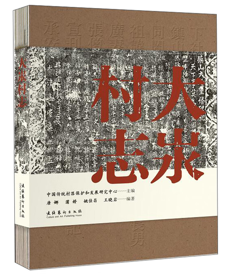 大汖村志【精选】