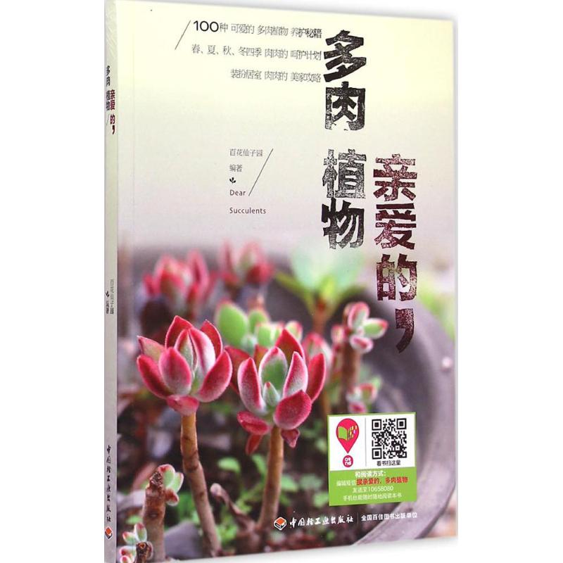 亲爱的,多肉植物