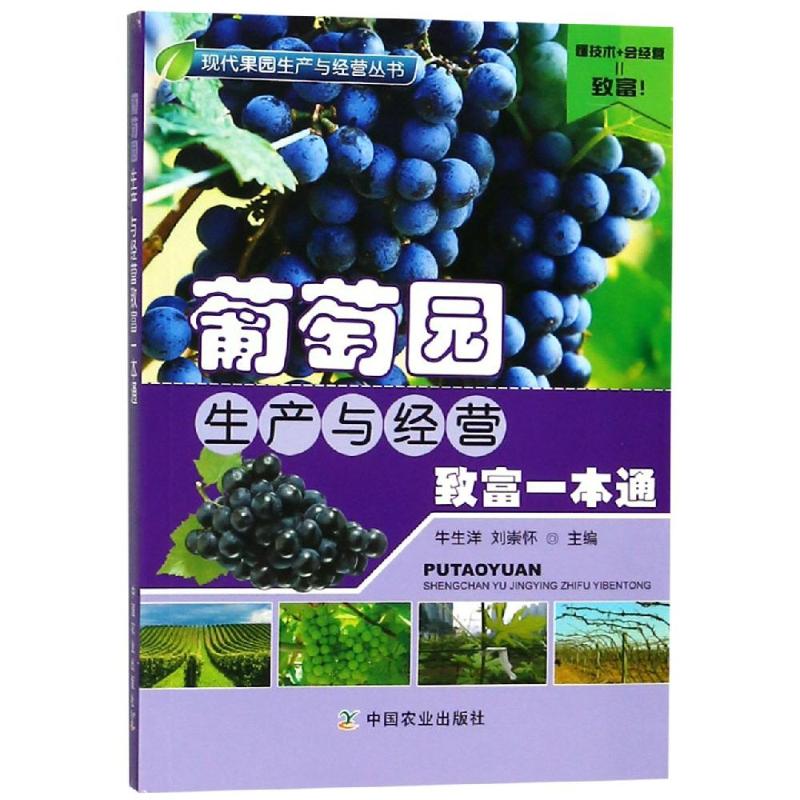 葡萄园生产与经营致富一本通