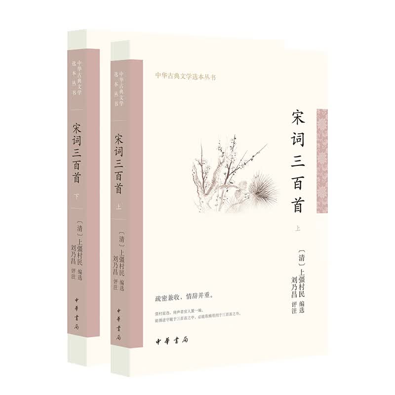宋词三百首—中华古典文学选本丛书 中华书局